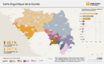 Language data for Guinea - Translators without Borders